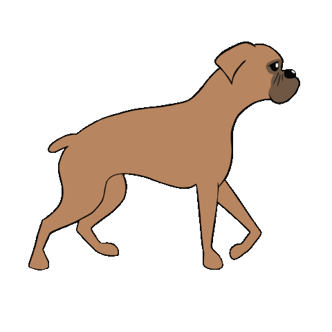 Boxer Dog Sticker for iOS & Android | GIPHY
