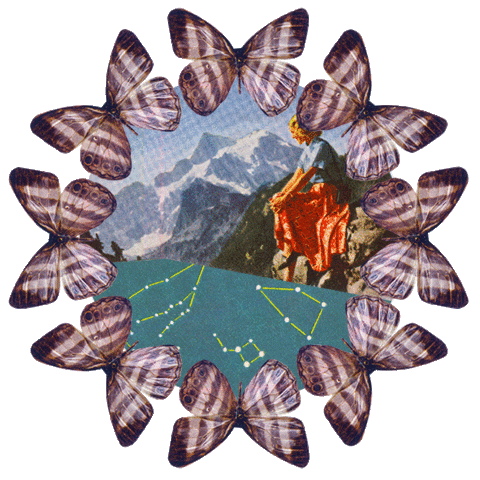 Collage Calendar GIFs on GIPHY - Be Animated