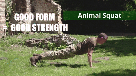 Military-bootcamp-fitness GIFs - Get the best GIF on GIPHY