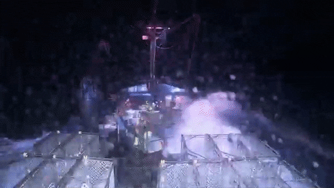 Bigwave GIFs - Get the best GIF on GIPHY