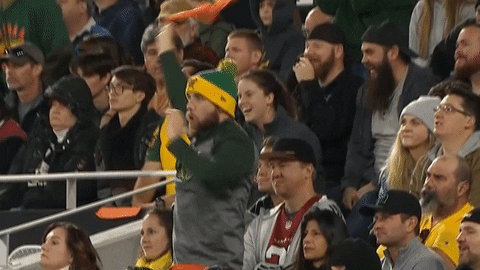 Fan Cheering GIFs - Get the best GIF on GIPHY