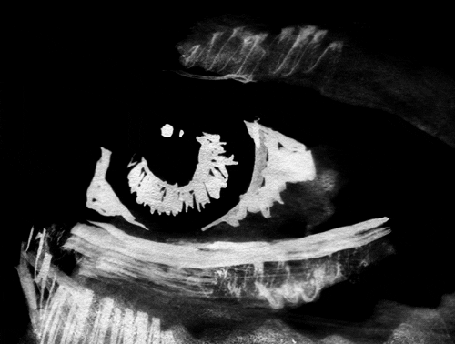 Eye Blink GIF by TraceLoops - Find & Share on GIPHY