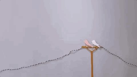 Pageant Material GIFs - Find & Share on GIPHY