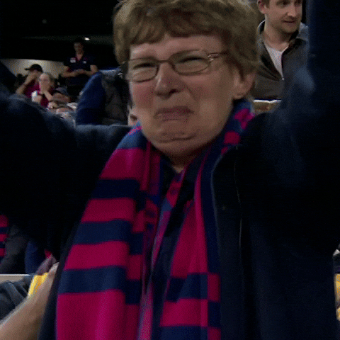 Small Celebration GIFs - Get the best GIF on GIPHY