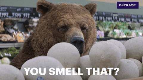 You Smell That GIFs - Get the best GIF on GIPHY