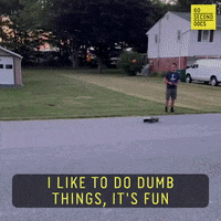 Funny Car Accidents Gif