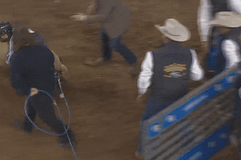 Mutton Bustin GIFs - Find & Share on GIPHY
