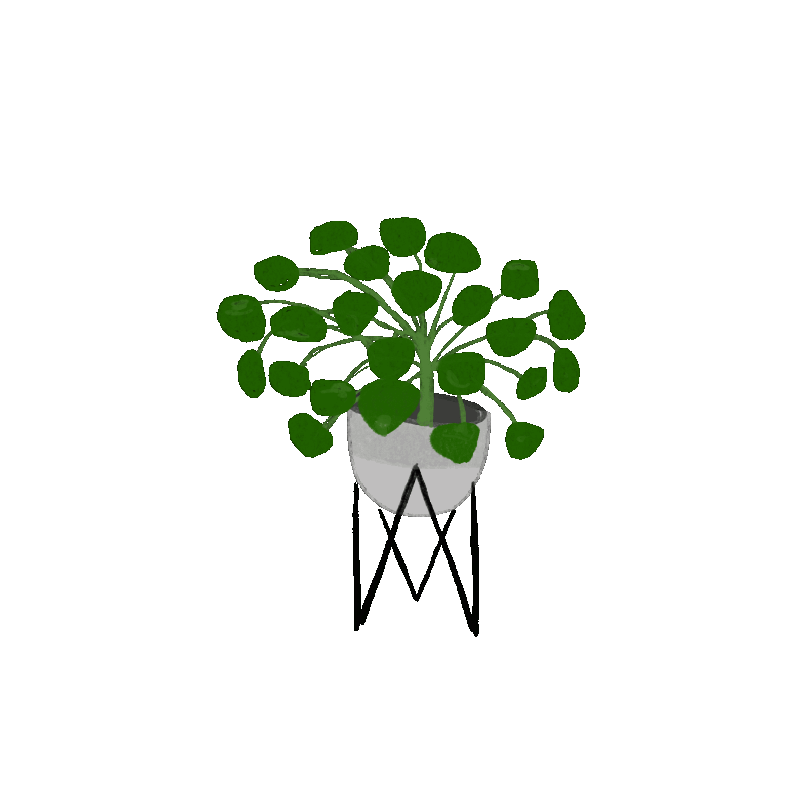 Plant Gardening Sticker for iOS & Android | GIPHY