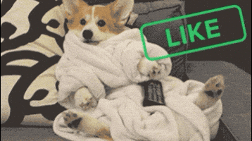 Cozy Tv GIFs - Get the best GIF on GIPHY