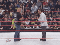 Stone Cold Stunner Vince Gif
