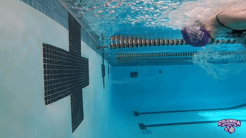 Women Swimming GIF by Columbia College - Find & Share on GIPHY