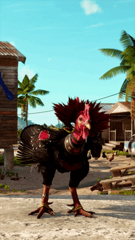 Punk Chicken GIFs - Get the best GIF on GIPHY