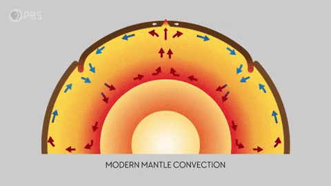 Convection Currents Animation