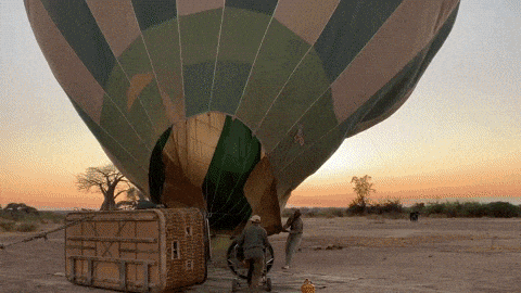 Tanzania GIF by Yellow Zebra Safaris - Find & Share on GIPHY