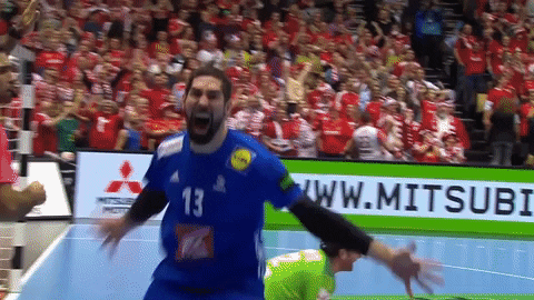 Ffhandball GIF by Fédération Française de Handball - Find & Share on GIPHY