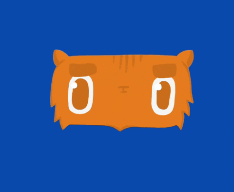 The Catnip Project GIFs on GIPHY - Be Animated