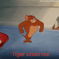 Tom And Jerry Fighting Gif