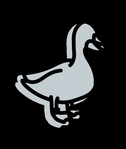 Blue Duck GIF by Tuesday Management - Find & Share on GIPHY