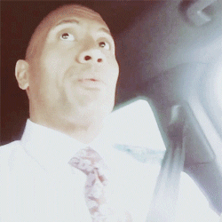 This Is An Obsession GIFs - Get the best GIF on GIPHY