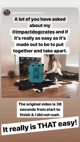 Impact Dog Crates GIFs - Get the best GIF on GIPHY