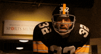 Immaculate Reception Gif