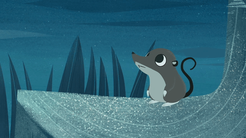 #Puffinrock #Puffin #Rock #Mossy #Dramatic #Fall #Pygmy #Shrew #Shock ...