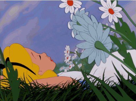 Alice In Wonderland Animation GIF by Disney - Find & Share on GIPHY
