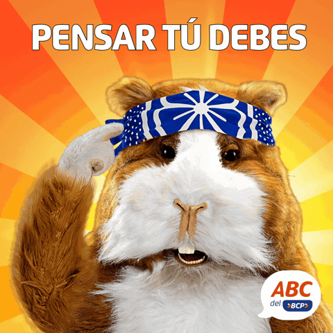 Cuy Cuysejo GIF by BCP - Find & Share on GIPHY