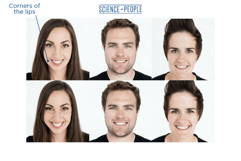 Happy Facial Expression GIF by Vanessa Van Edwards - Find & Share on GIPHY