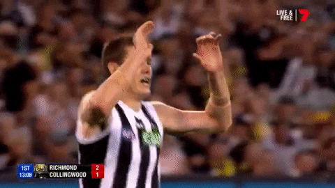 2019 AFL GIFs by AFL | GIPHY