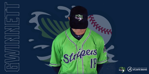 Biddle GIF by Gwinnett Stripers - Find & Share on GIPHY