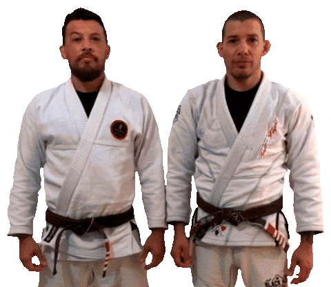 Ferreira Behring Jiu-Jitsu GIFs on GIPHY - Be Animated