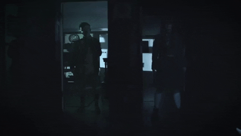 Shelley Amerikansk Skrekkhistorie Gif Shelley Hack GIFs Find & Share