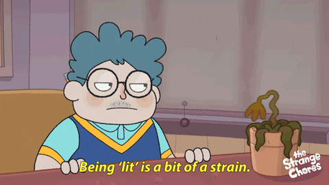 Not Lit GIFs - Get the best GIF on GIPHY