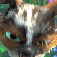 Weird Cat Animated Gif