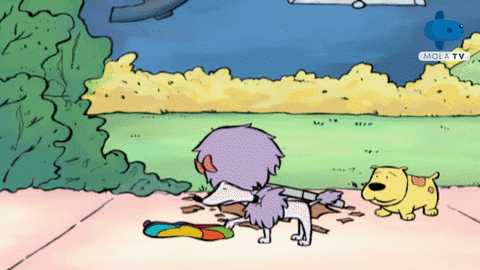 Happy Dog GIF by Mola TV Kids - Find & Share on GIPHY