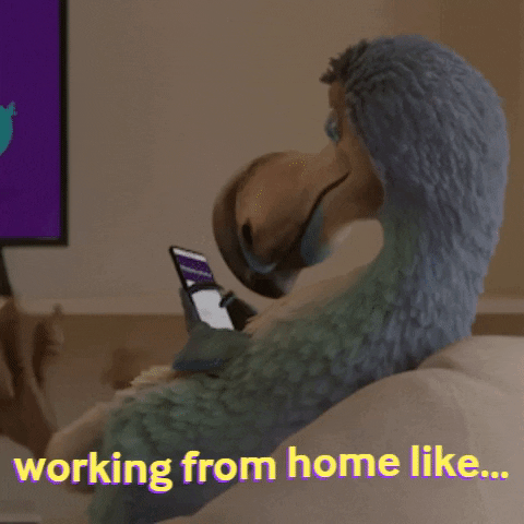 Work From Home GIF by Dodo Australia - Find & Share on GIPHY
