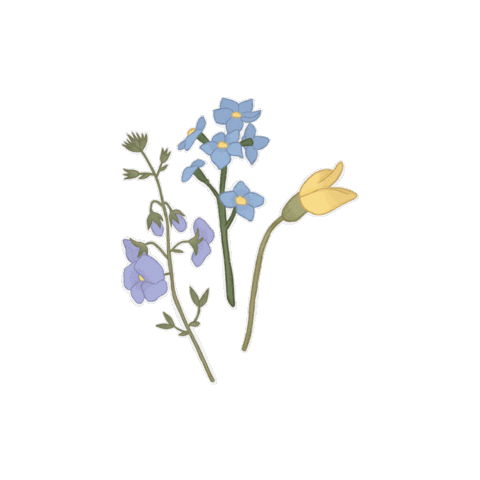 Human Lego Man - ABC News