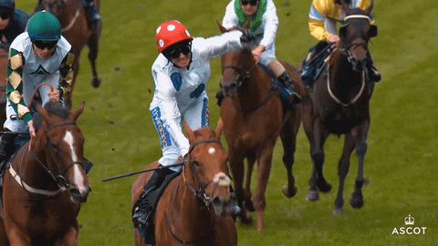 Ascot Racecourse GIF - Find & Share on GIPHY