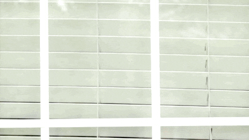 Nobody Look At Me GIFs - Get the best GIF on GIPHY