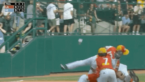 Llws-2019 GIFs - Get the best GIF on GIPHY