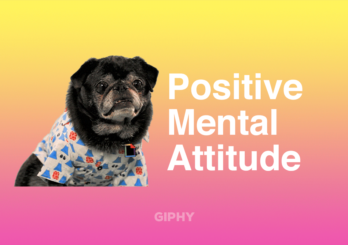 Psa Pma GIF by Originals - Find & Share on GIPHY