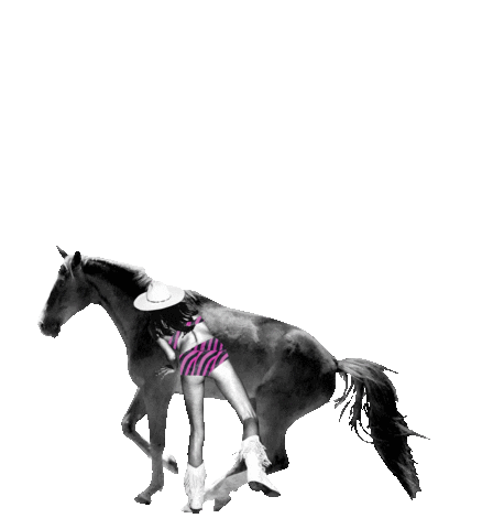Horseback Riding Jump Sticker by Molly Dickson for iOS & Android | GIPHY