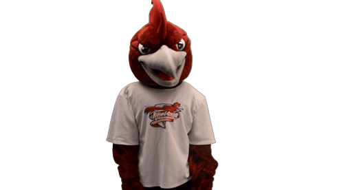 Mascot Rcnj Sticker by Ramapo College of New Jersey for iOS & Android ...