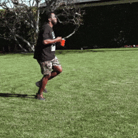Diddy GIFs on GIPHY - Be Animated