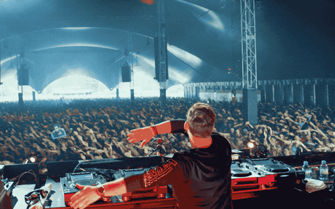 Waving Electronic Dance Music GIF by Hardwell - Find & Share on GIPHY