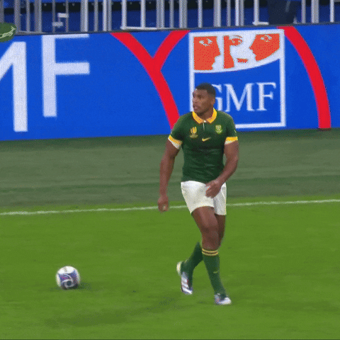 Willemse GIFs - Find & Share on GIPHY