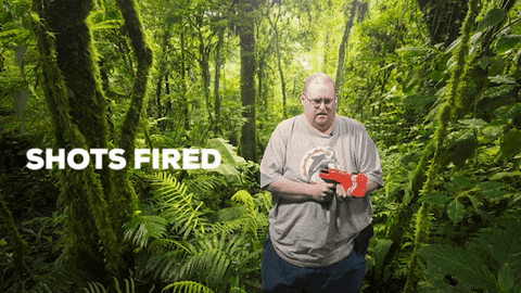 Free Stock Images GIFs - Get the best GIF on GIPHY