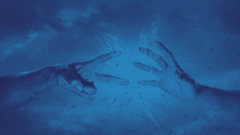 Ganaste GIFs - Get the best GIF on GIPHY