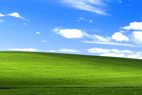 Windowsxp GIFs - Get the best GIF on GIPHY